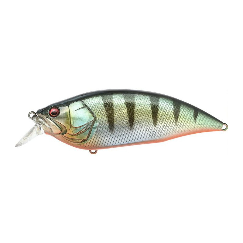 MEGABASS Big-M 2.0 GG Redfin perch